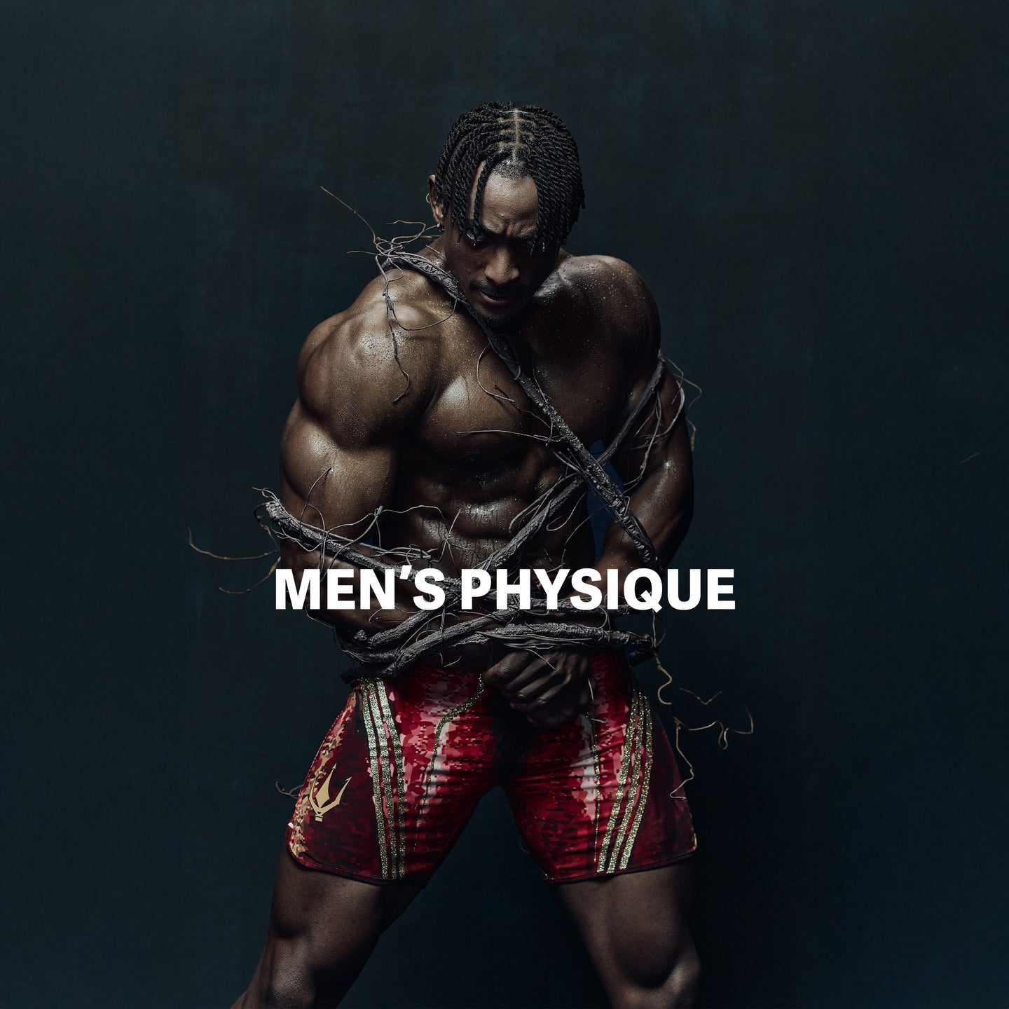 FIED : The Fine Art of Physique – Fied World